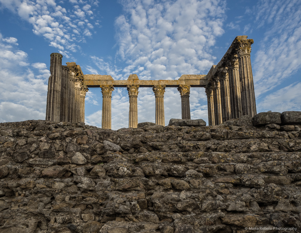 Ebora cerealis | Salt of Portugal