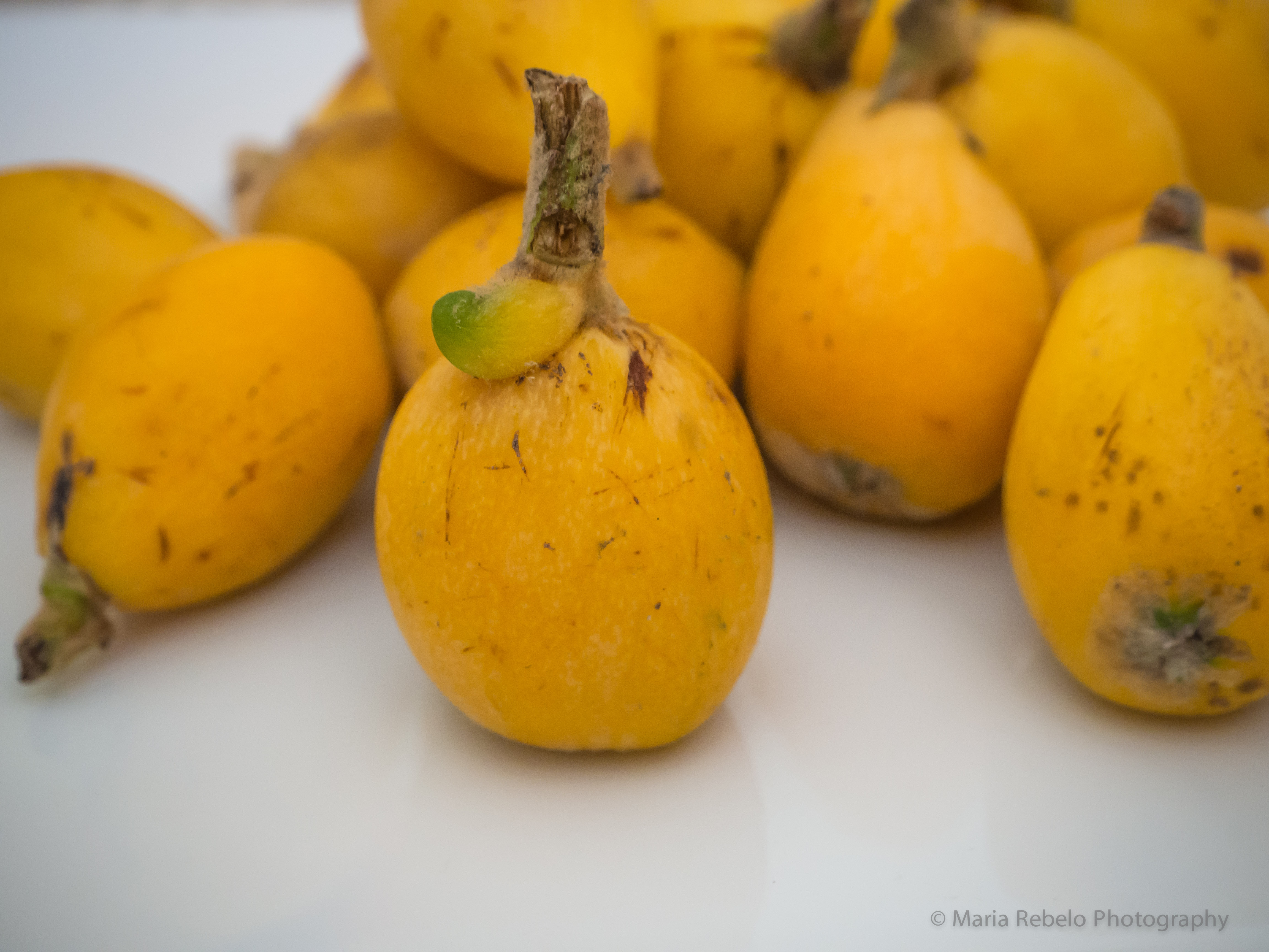 A fruitful exchange | Salt of Portugal