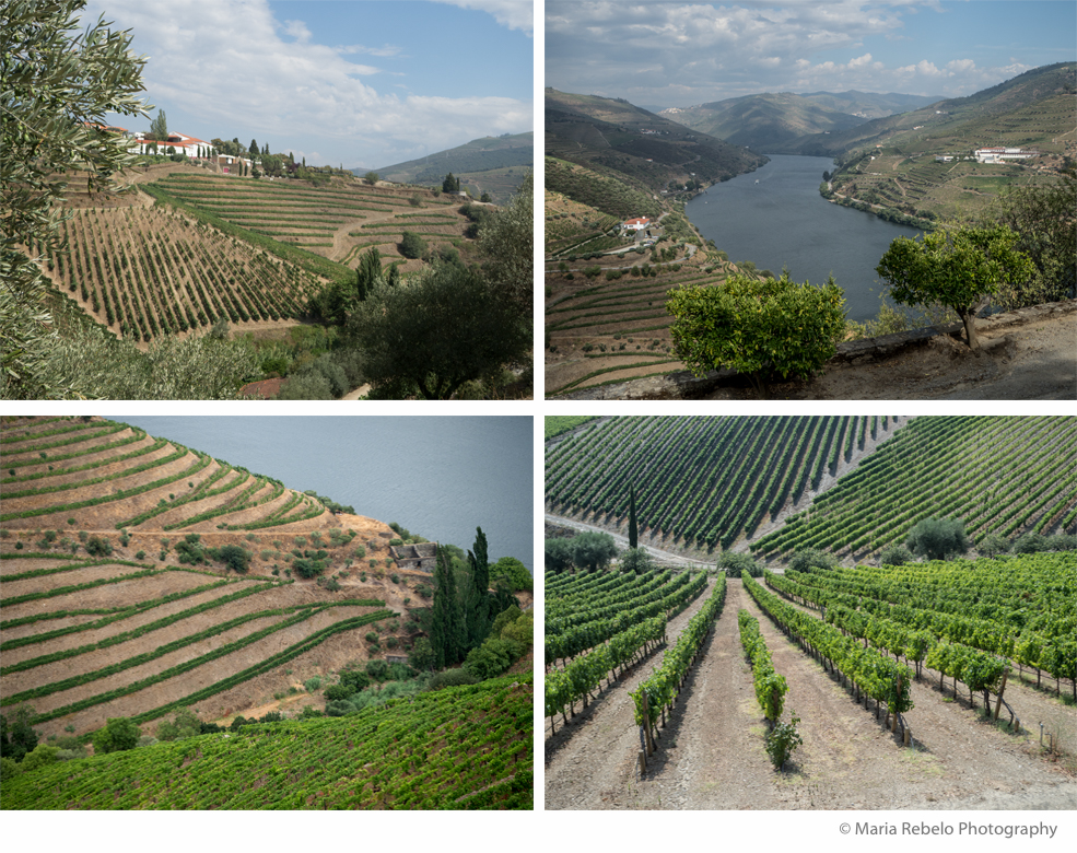 Quinta do Crasto | Salt of Portugal