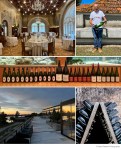 A wine lover’s guide to Bairrada | Salt of Portugal